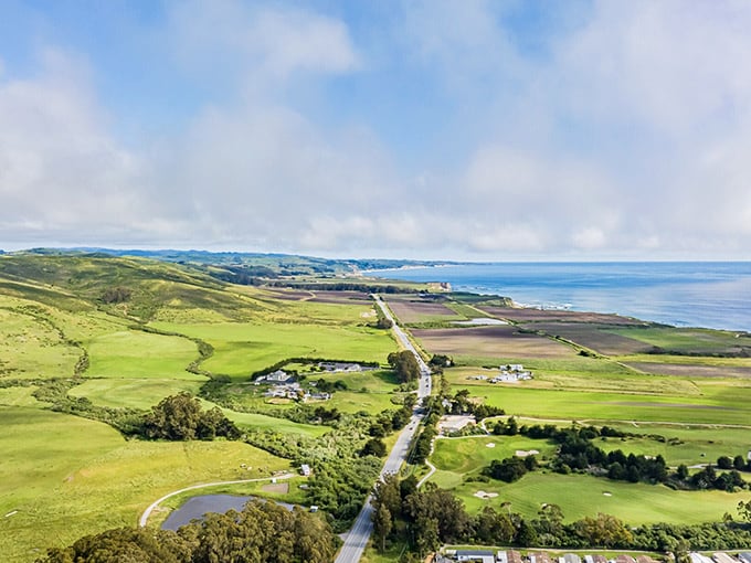 Dramatic coastal views stretch for miles along bluffs where the land drops away to reveal pristine sandy beaches.