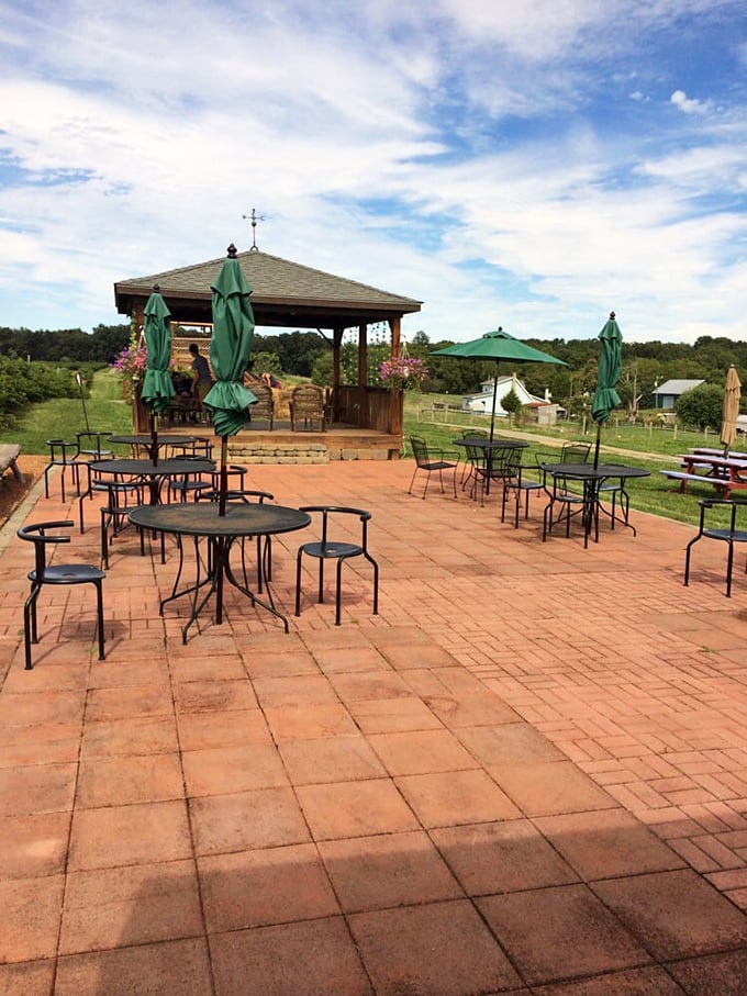 Country roads leading to apple farms deliver exactly the kind of peaceful escape your weekend desperately needs.