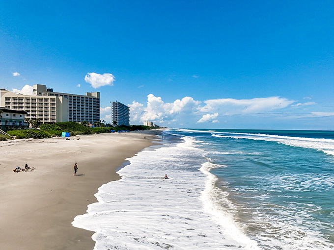Where space rockets share the skyline with pelicans, creating the most Florida view imaginable.