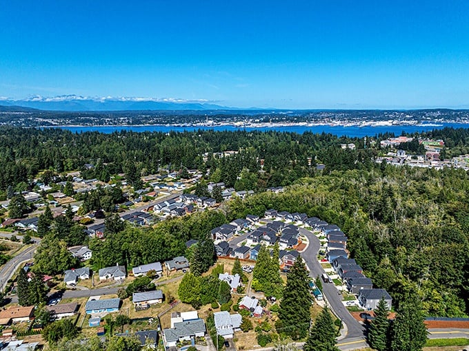 Port Orchard sprawls between forest and sea &ndash; nature's perfect sandwich with houses as the filling!