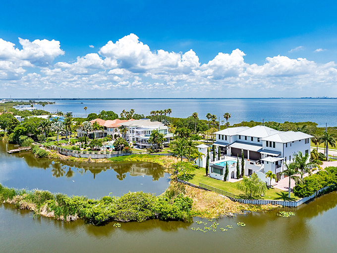 The aerial view reveals a town perfectly positioned between water and woodland, offering the best of both worlds.