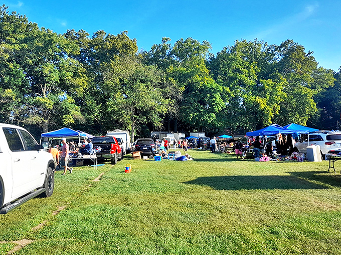 Summer shopping serenity! Colorful tents dot the grassy landscape where shoppers hunt for treasures under Pennsylvania's blue skies.