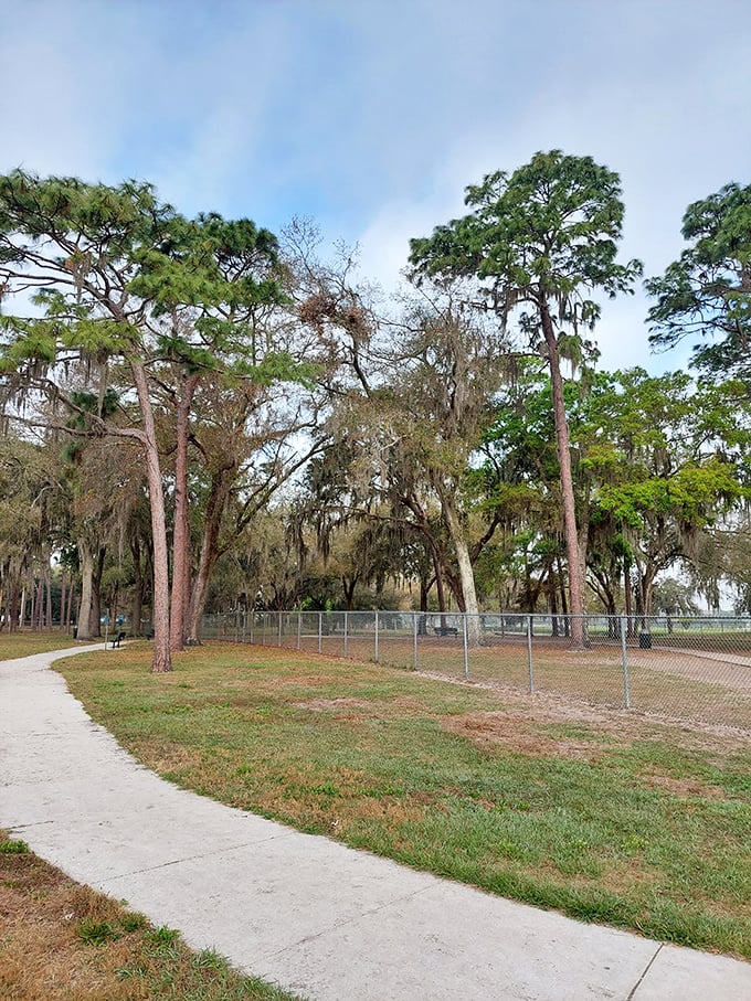 Zephyrhills' community parks provide gathering spaces without pretension. Simple pleasures and affordable living go hand in hand here.