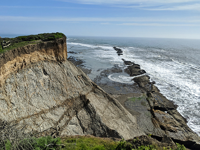These dramatic cliffs at Agate Beach don't just drop – they plunge with theatrical flair into the churning Pacific below.