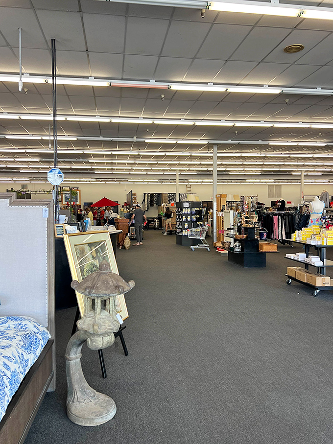 An entire aisle that proves retail therapy doesn't have to break the bank or your back account.