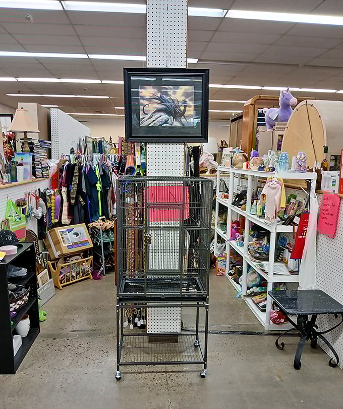An eclectic aisle where bird cages meet unicorns &ndash; proof that at this flea market, the unexpected is always just around the corner.
