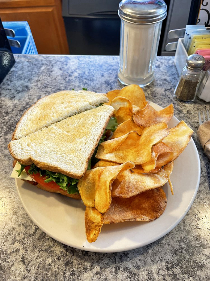 A sandwich that understands the architecture of satisfaction: sturdy bread foundation, fresh ingredients, and homemade chips as the supporting cast.