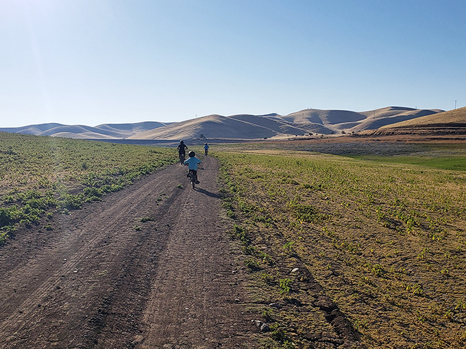 The rolling hills surrounding Gustine offer cycling adventures where the only traffic you'll encounter is the occasional tractor or confused cow.