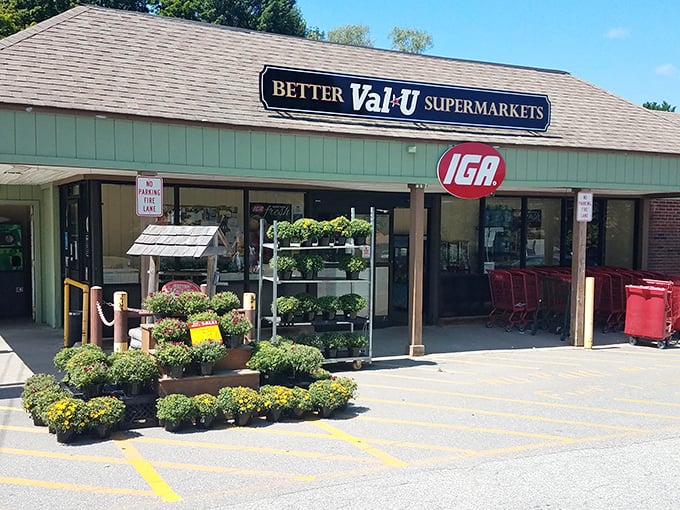 Better Valu Supermarket lives up to its name with seasonal plants greeting shoppers. In Canterbury, even grocery shopping feels like a small-town social event.