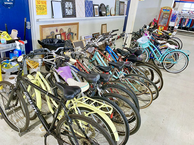 Bicycle brigade! From beach cruisers to mountain bikes, your next two-wheeled adventure is waiting at a price that won't break the bank.