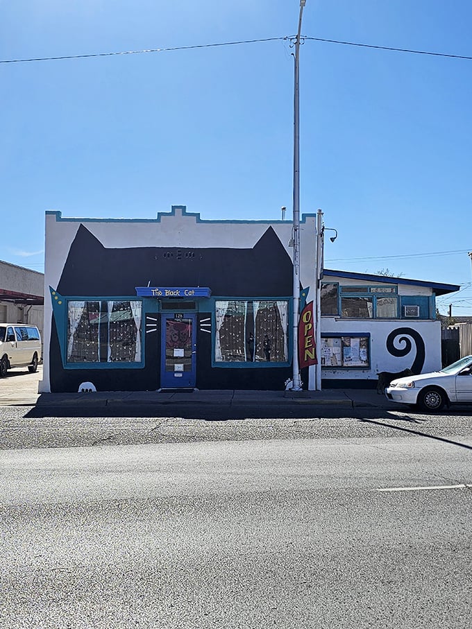 The Black Cat Books storefront suggests literary adventures await inside for readers seeking their next great escape.