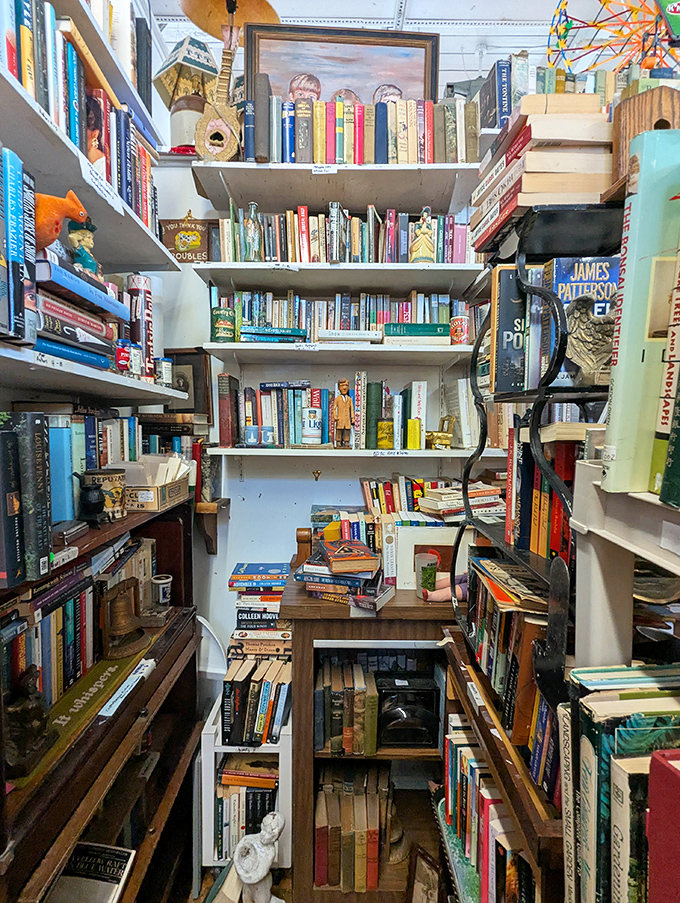 A bibliophile's dream hideaway—where the scent of old paper and forgotten bookmarks create a literary treasure hunt.