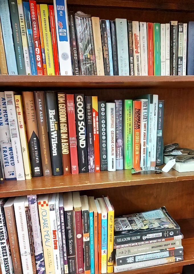 Books that smell like wisdom and adventure. The colorful spines represent countless rainy afternoons spent in worlds more interesting than our own.