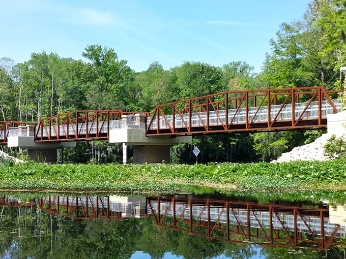 The red pedestrian bridge spans the Rainbow River like a brushstroke of color against the lush green canvas of Florida's natural landscape.