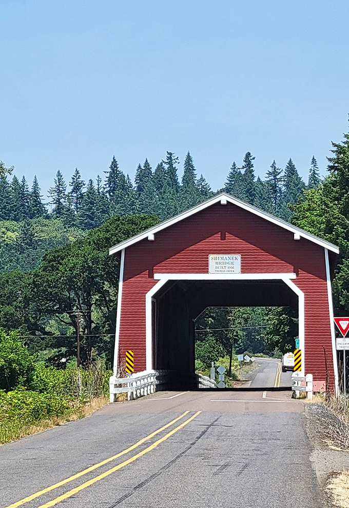 Framed by evergreens and bathed in summer sunshine, the bridge stands as a testament to Oregon's commitment to preserving its architectural heritage.