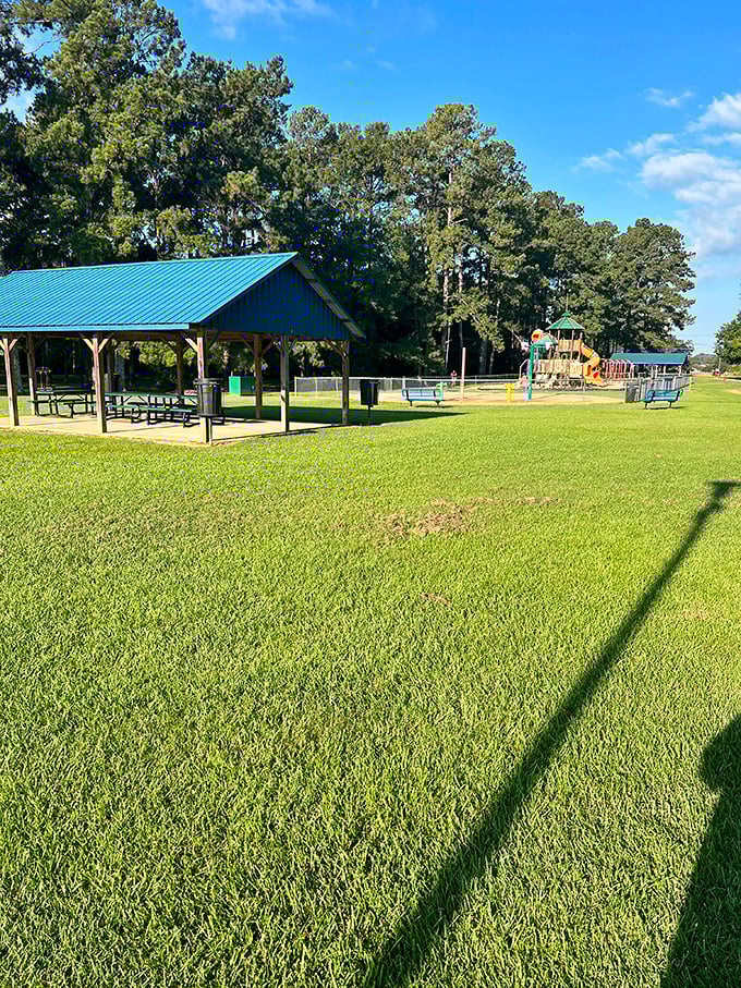 Brookhaven City Park delivers acres of free entertainment &ndash; because the best things in life actually are free here.