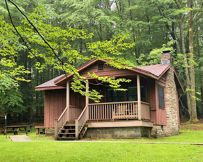 Cozy cabins nestled among towering trees offer the perfect basecamp for adventure. Like Goldilocks would say&mdash;not too rustic, not too fancy, just right.