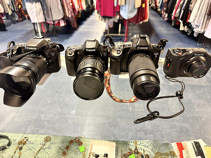Camera collection that would make any photography enthusiast weak at the knees. Digital meets vintage in this corner of technological treasures.