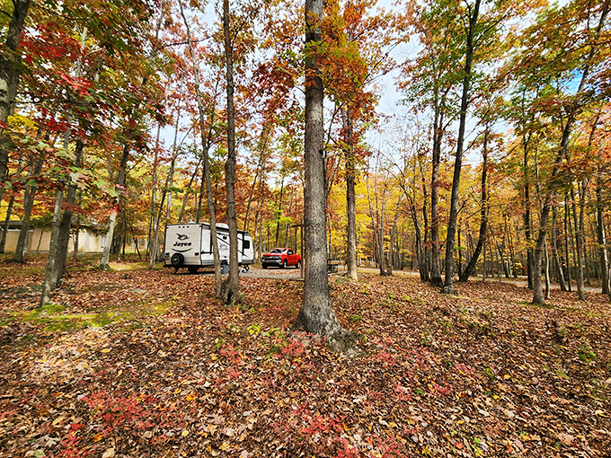 Fall camping among technicolor foliage&mdash;where leaf-peeping becomes a full-time activity. The soundtrack of crunching leaves comes complimentary with every step.