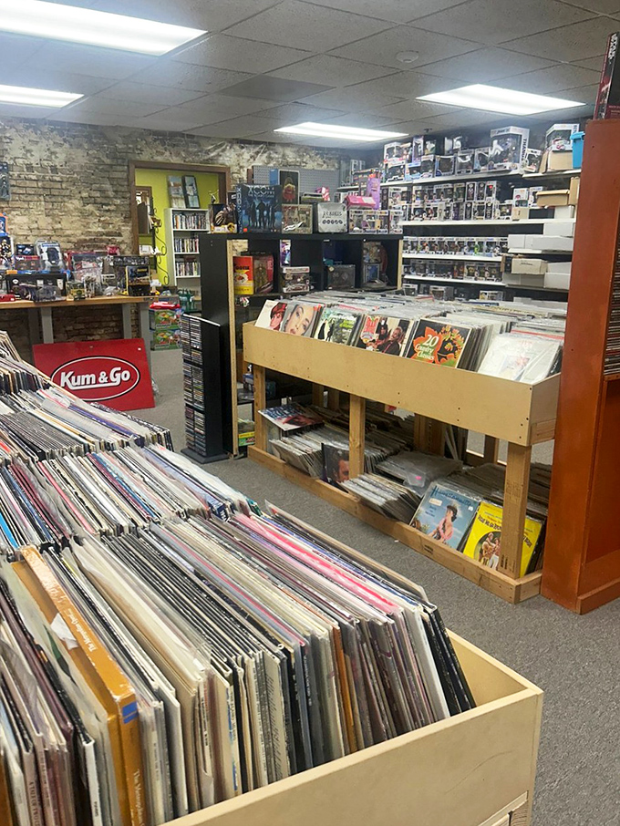 A vinyl collector's treasure trove where you'll spend hours flipping through albums, rediscovering music your streaming service forgot existed.