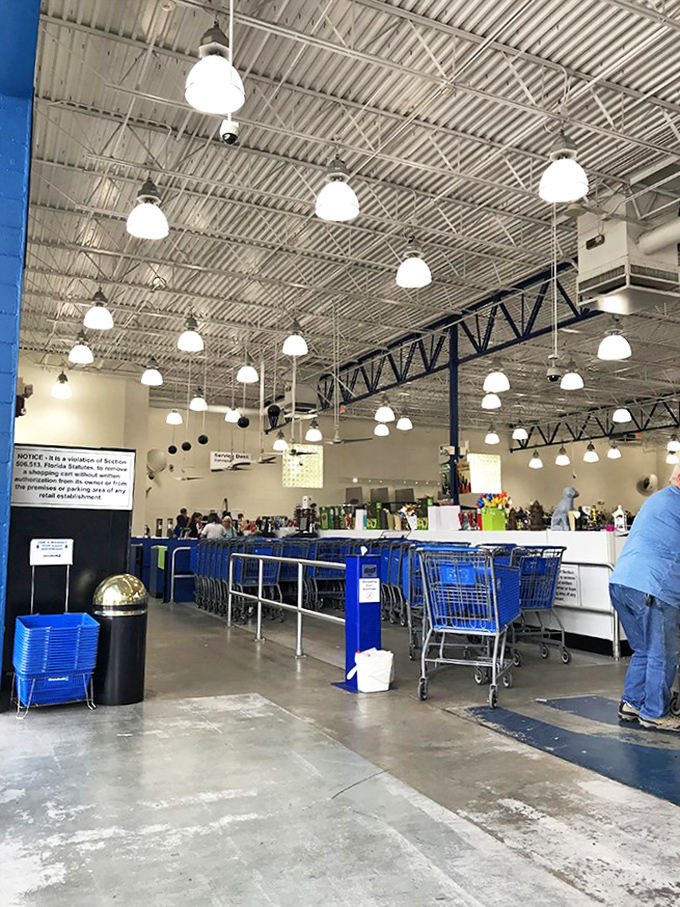 The checkout area: where treasure hunters line up with their bounty, blue carts filled with possibilities and second chances.