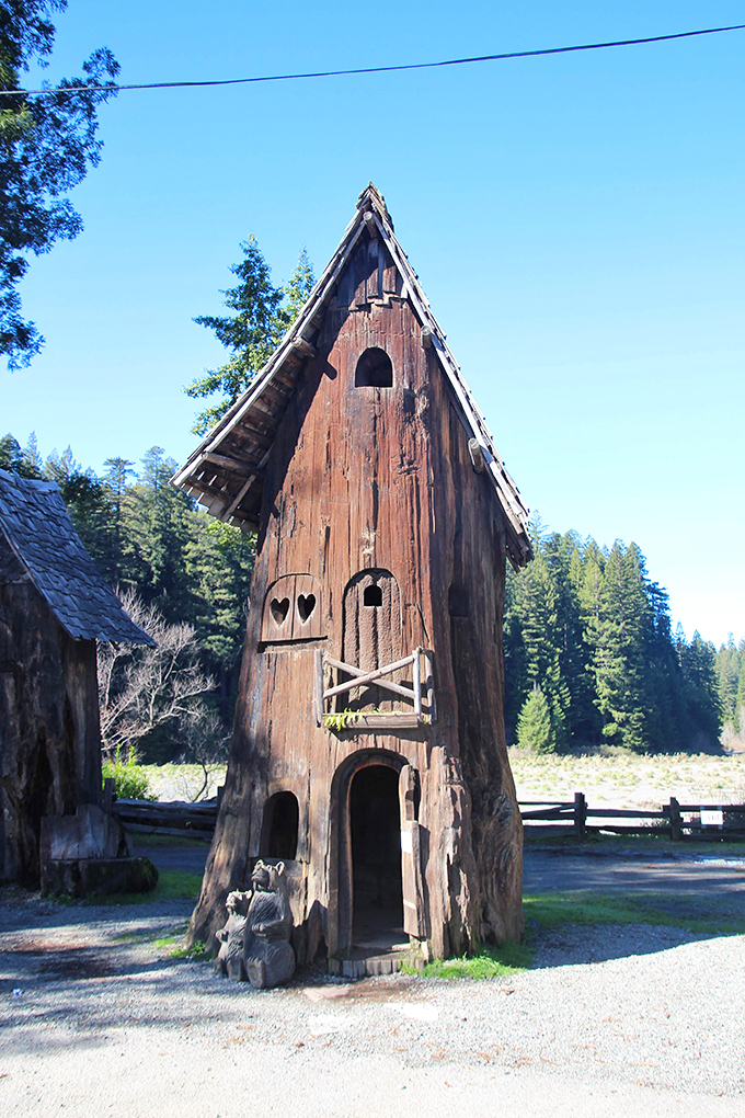 Fairy tale architecture, redwood edition. This whimsical trunk cabin looks like where woodland creatures would host their dinner parties.