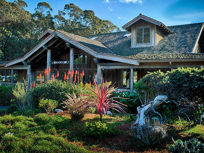 This coastal ranch building looks like it was grown rather than built. Surrounded by vibrant native plants, it's California architecture at its most harmonious with the landscape.
