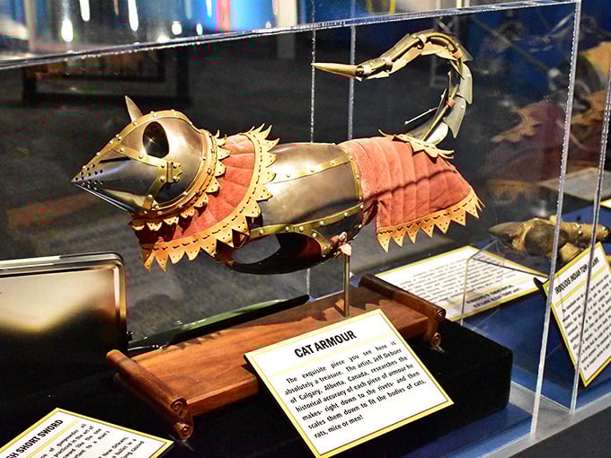 Medieval cat armor proves our ancestors understood one universal truth: even in battle, felines demand fashion and functionality.