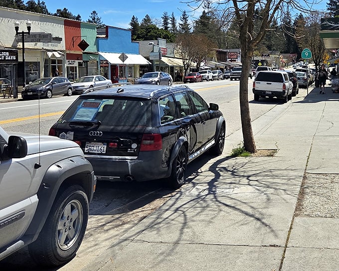 Colorful storefronts line the main drag, a palette of small businesses that have weathered economic storms through community support.