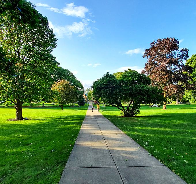 Central Park's pathways invite you to stroll without purpose, a luxury increasingly rare in our notification-filled lives.