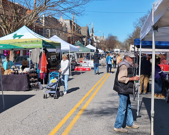 Chestertown's Farmers Market transforms streets into a community gathering spot where the produce is as fresh as the gossip.