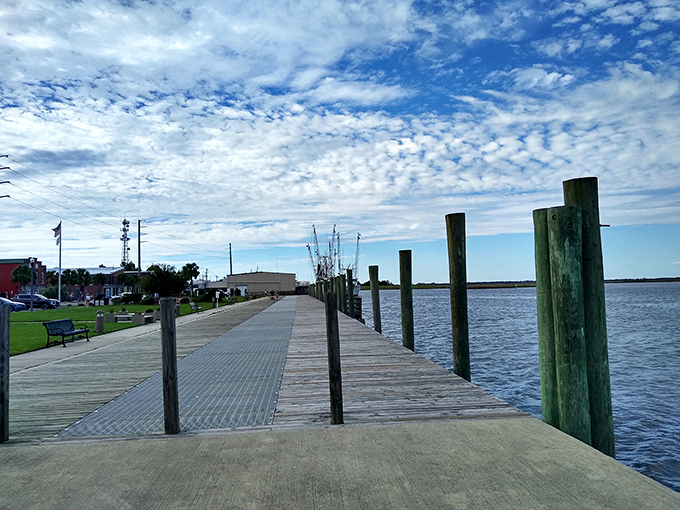 The city dock offers front-row seats to nature's daily performance: pelicans diving, fishermen returning, and the water changing colors with the light.