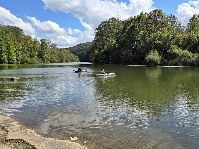 City Lake offers the kind of tranquility that meditation apps try desperately to replicate, but nothing beats the real Tennessee version.