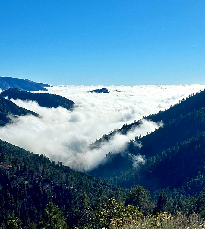 A sea of clouds below makes you feel like you're driving through heaven's front yard.