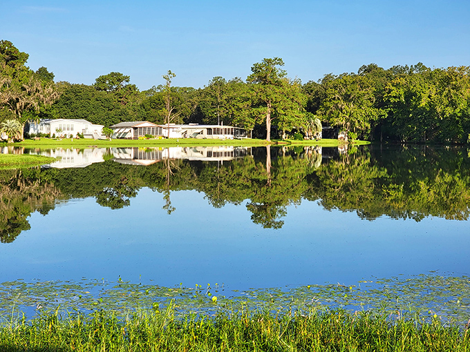 Reflections on still waters at Clover Leaf Forest RV Resort create mirror images so perfect they'd make Narcissus jealous.