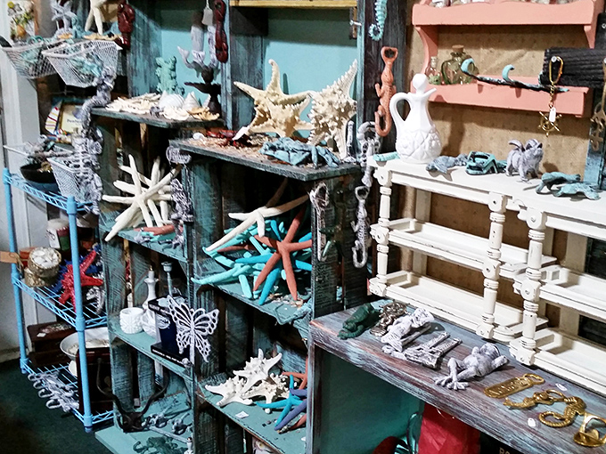 Coastal-themed shelves transport you to beachside memories with starfish, shells, and nautical treasures that bring the ocean indoors.