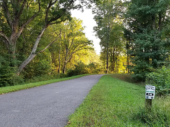 Cornelius Road Park's winding trail system proves that the best retirement fitness plan is simply beautiful scenery that motivates daily walks.