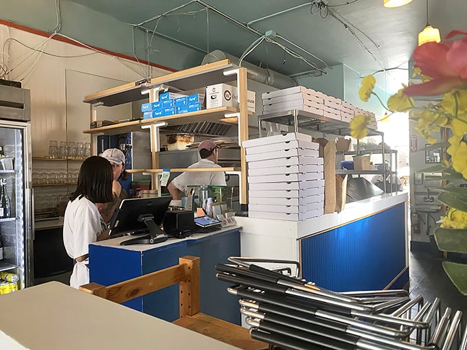 Where pizza dreams come to life. The blue counter and wooden shelving create a workspace that's both functional and inviting.