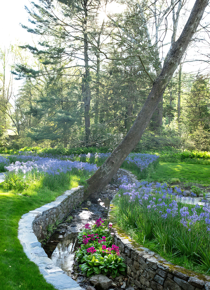 The creek garden whispers secrets to visitors, mostly about proper drainage and moisture-loving perennials.