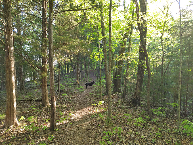 Nature reclaims its territory just steps from downtown, where hiking trails offer encounters with local wildlife and blissful cellular dead zones.