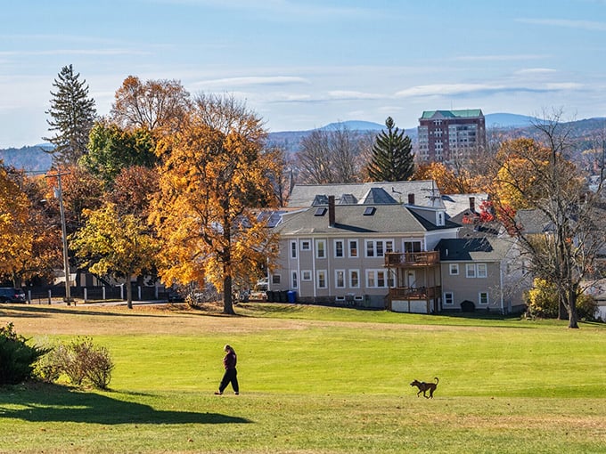 Derryfield Park presents quintessential New England autumn views with mountains in the distance. Dog walking has never had a more picturesque backdrop.