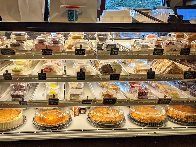 The dessert case&mdash;a glass-enclosed museum of temptation where willpower goes to die and "I'll just have a bite" becomes a beautiful lie.