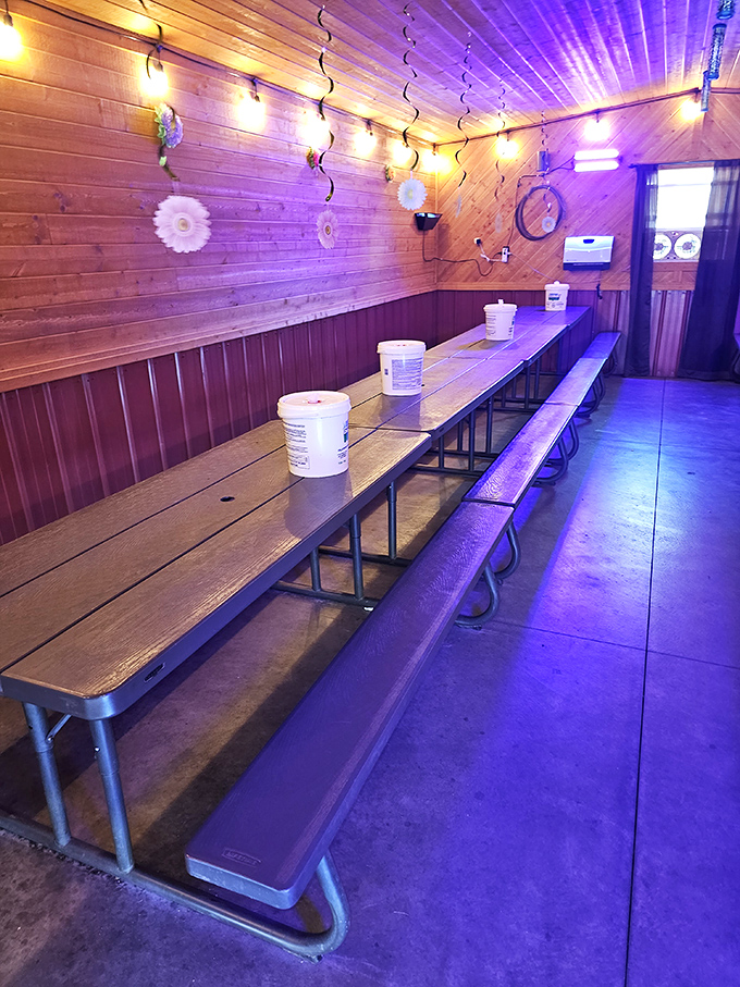 The dining room glows with the warm promise of wooden walls and simple pleasures. No distractions from the meat mission ahead.