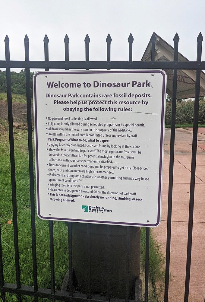 Clear rules ensure this scientific treasure remains protected for future generations. "No personal fossil collecting" means your living room can't become Jurassic Park.