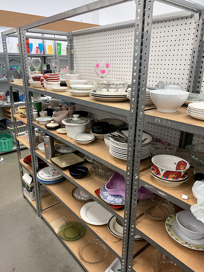 Dishware heaven for the eclectic entertainer—mix-and-match plates and bowls that make your dinner table look deliberately bohemian rather than randomly assembled.