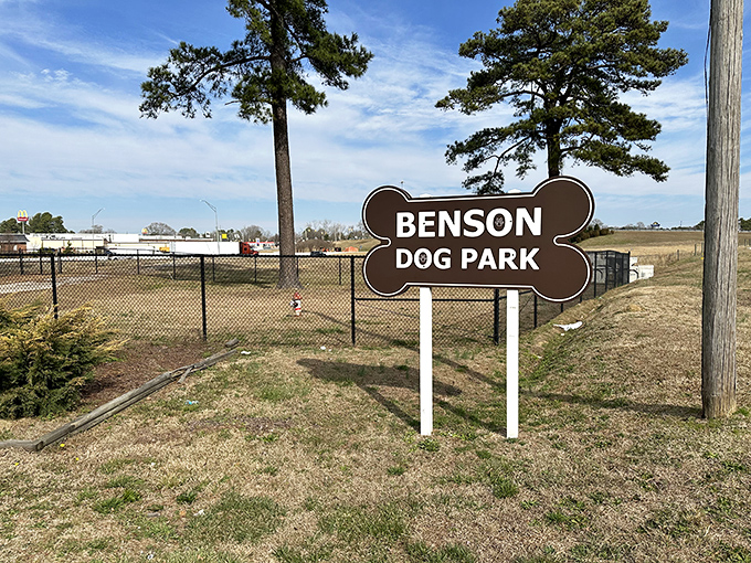 Even four-legged visitors get VIP treatment in Benson. The dog park offers canine citizens a place to socialize while their humans exchange the latest town gossip.
