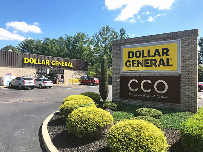 Even chain stores in Dover manage to blend into the landscape with thoughtful landscaping. Those perfectly trimmed shrubs didn't happen by accident, folks.