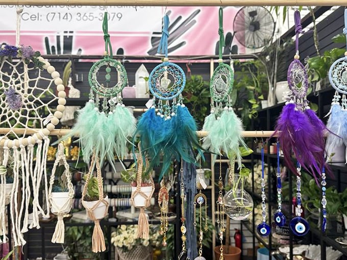 Dreamcatchers dancing in the fluorescent light. These feathered guardians of sleep hang like colorful sentinels against nightmares and plain bedroom walls.