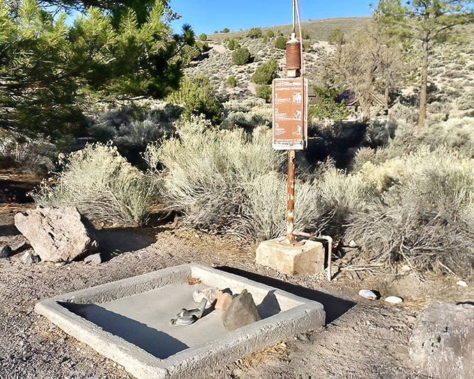 This modest water station transforms into an oasis after a day of desert exploration. Sometimes the simplest amenities feel like luxury.