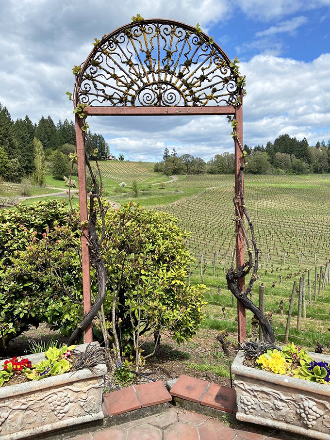 A portal to wine paradise! This ornate archway frames the vineyard view like Mother Nature's version of a magazine cover shoot. 